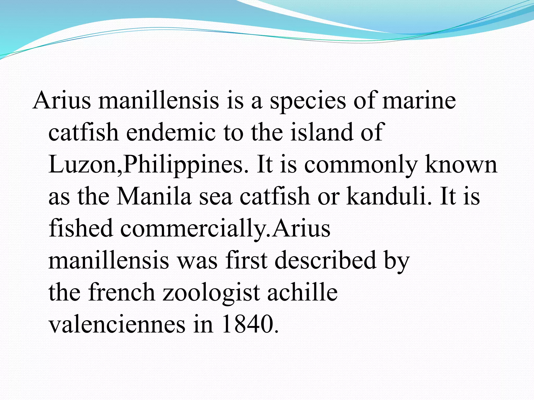 endemic freshwater fishes in the philippines | PPTX