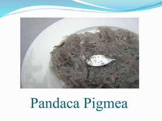 endemic freshwater fishes in the philippines | PPTX