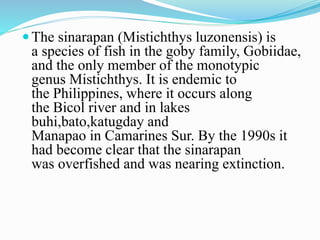endemic freshwater fishes in the philippines | PPTX