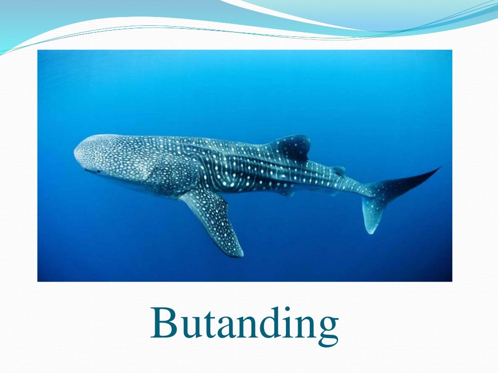 endemic freshwater fishes in the philippines