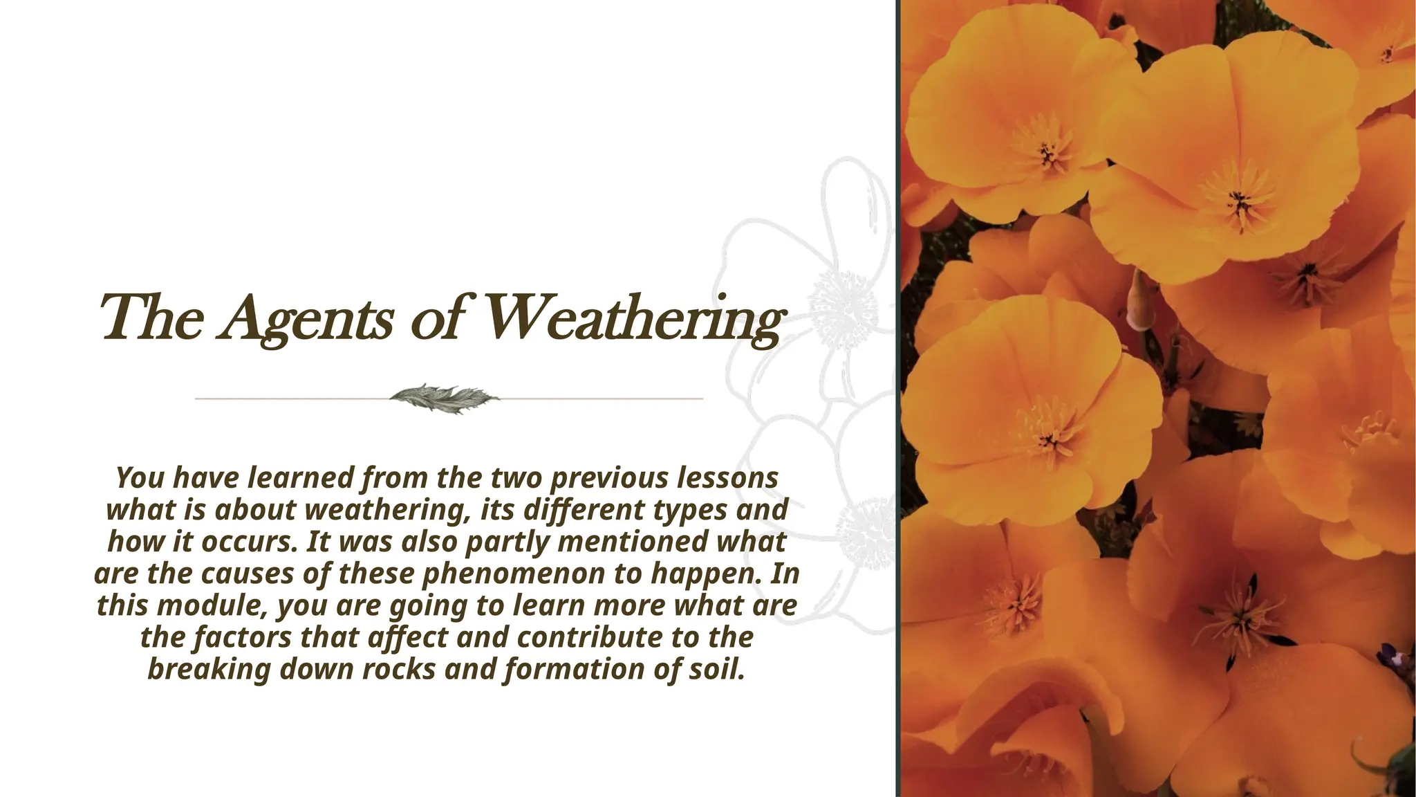 Science Reporting about Agents of Weathering | PPTX