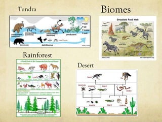 Science review | PPT