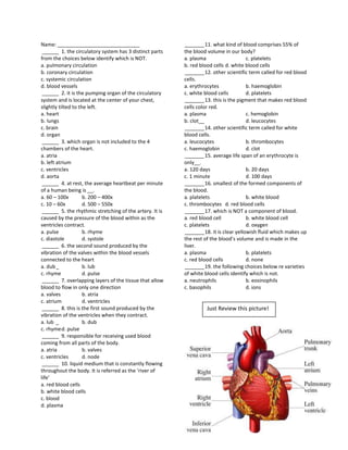 Science review (1st monthly) | DOCX