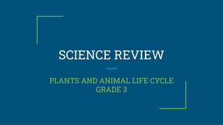 SCIENCE REVIEW GRADE 3 LIFE CYCLES OF PLANTS AND ANIMALS.pdf