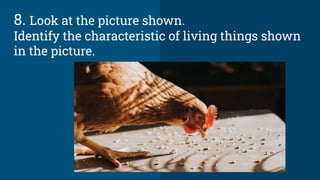 SCIENCE REVIEW GRADE 3 LIFE CYCLES OF PLANTS AND ANIMALS.pdf