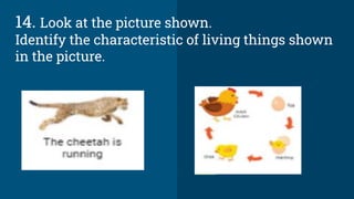 SCIENCE REVIEW GRADE 3 LIFE CYCLES OF PLANTS AND ANIMALS.pdf