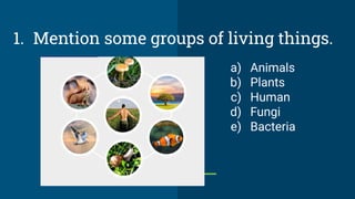 SCIENCE REVIEW GRADE 3 LIFE CYCLES OF PLANTS AND ANIMALS.pdf