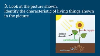 SCIENCE REVIEW GRADE 3 LIFE CYCLES OF PLANTS AND ANIMALS.pdf