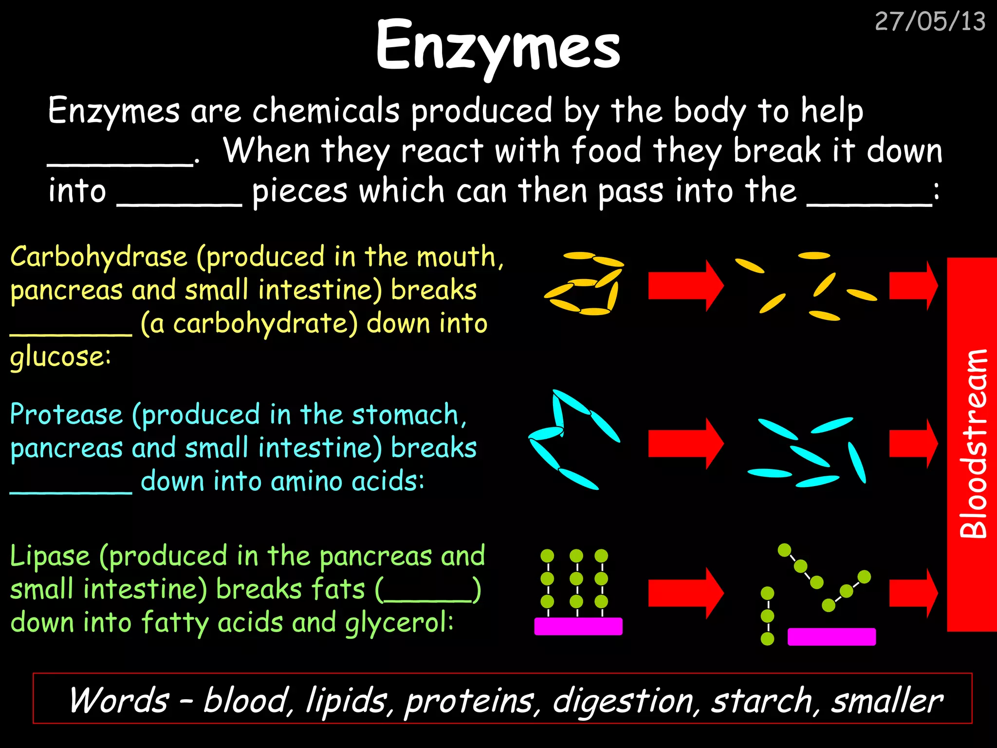 Junior Cycle Science. Biology. Humans as Organisms. By Theresa Lowry ...