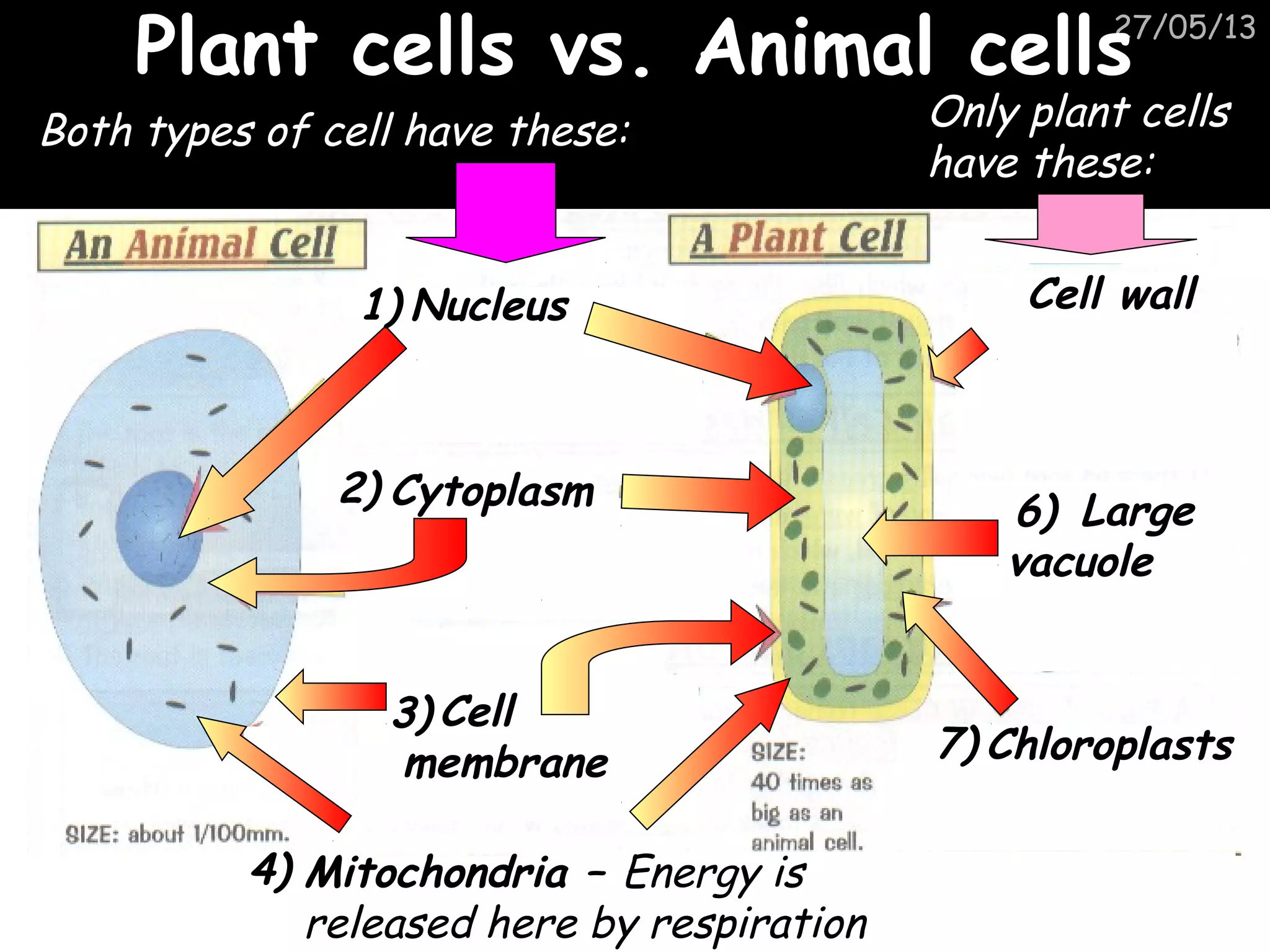 Junior Cycle Science. Biology. Humans as Organisms. By Theresa Lowry ...