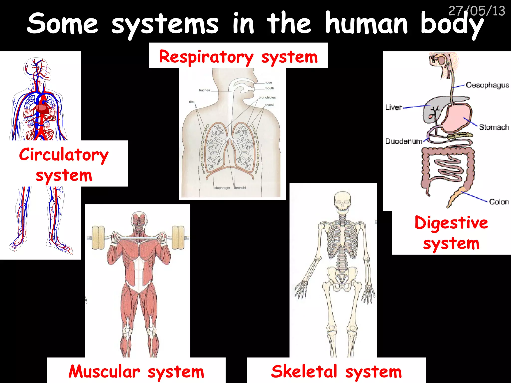Junior Cycle Science. Biology. Humans as Organisms. By Theresa Lowry ...