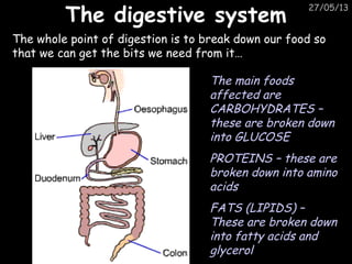 Junior Cycle Science. Biology. Humans as Organisms. By Theresa Lowry ...