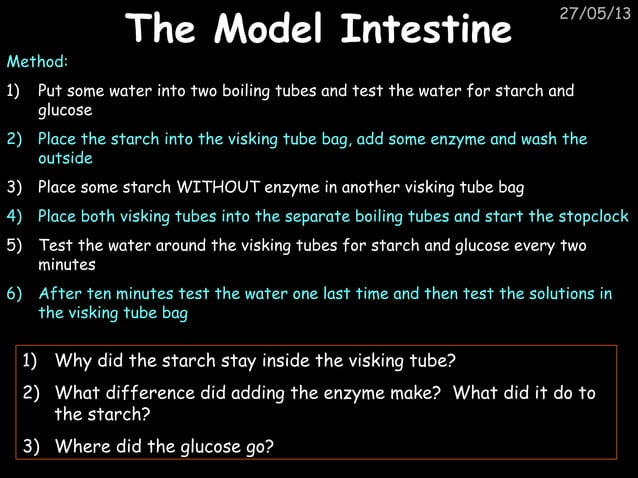 Junior Cycle Science. Biology. Humans as Organisms. By Theresa Lowry ...