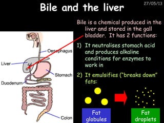 Junior Cycle Science. Biology. Humans as Organisms. By Theresa Lowry ...