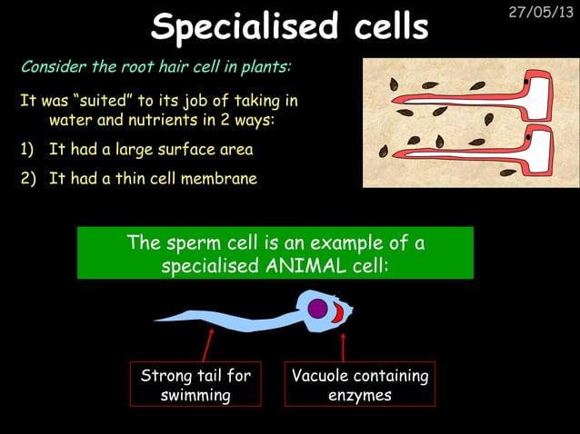 Junior Cycle Science. Biology. Humans as Organisms. By Theresa Lowry ...
