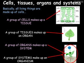 Junior Cycle Science. Biology. Humans as Organisms. By Theresa Lowry ...