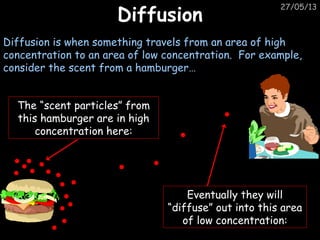 Junior Cycle Science. Biology. Humans as Organisms. By Theresa Lowry ...