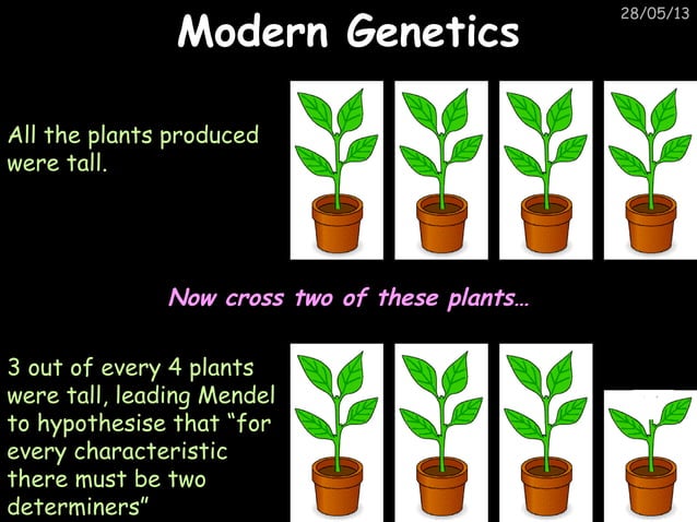 Junior Cycle Science. Biology. Inheritance and Selection. By Theresa ...