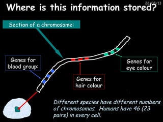 Junior Cycle Science. Biology. Inheritance and Selection. By Theresa ...