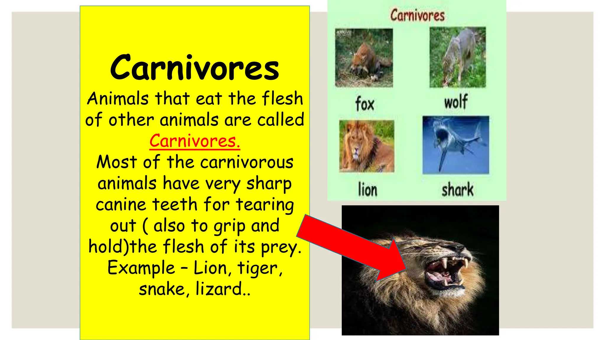 Science Revision Term 2.pptx good example for you | PPTX