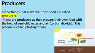 Science Revision Term 2.pptx good example for you | PPTX