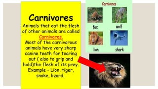 Science Revision Term 2.pptx good example for you | PPTX