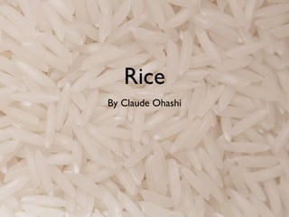 Science rice project | KEY