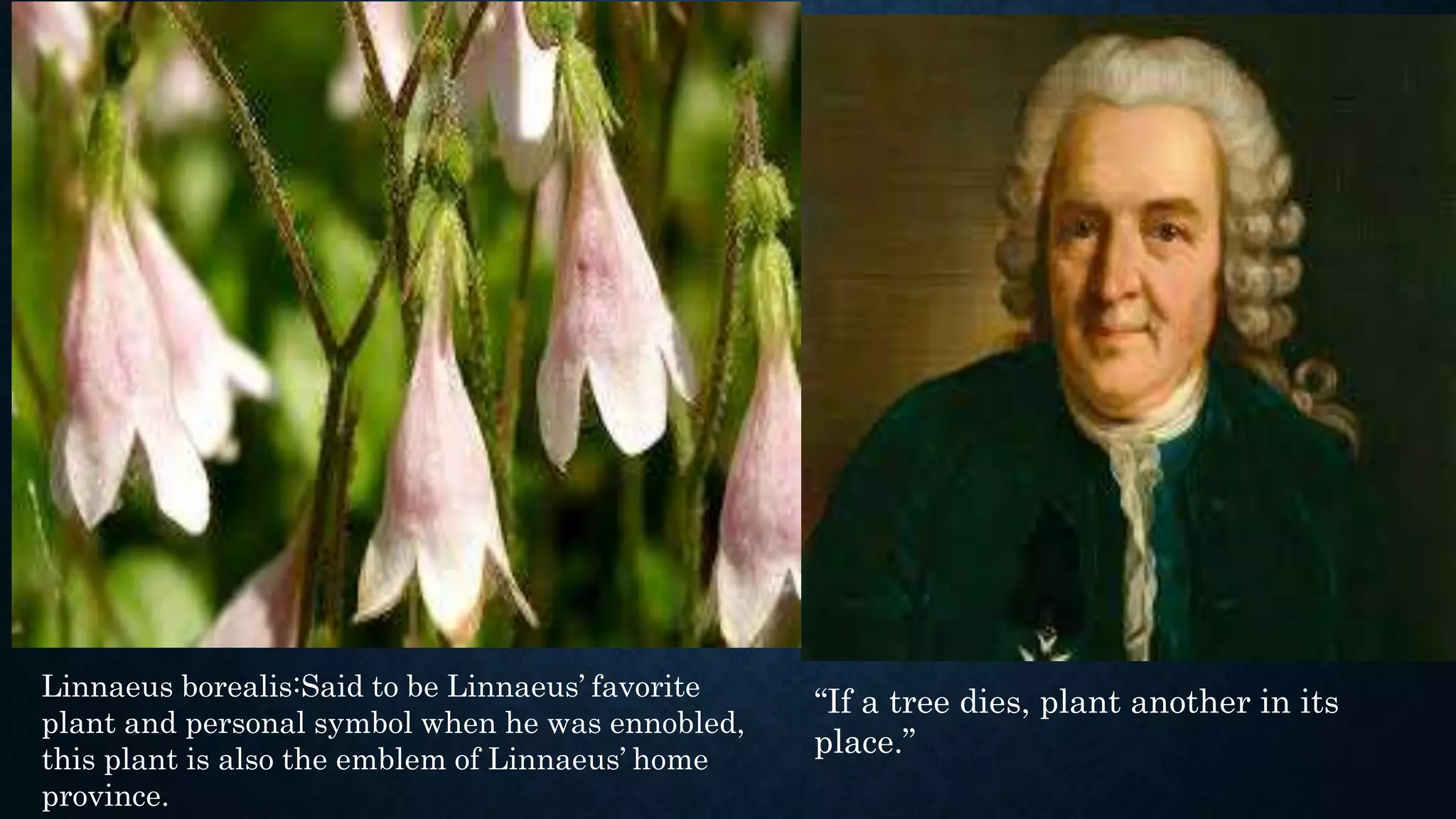 carl Linnaeus | PPTX