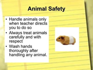 Science safety | PPT