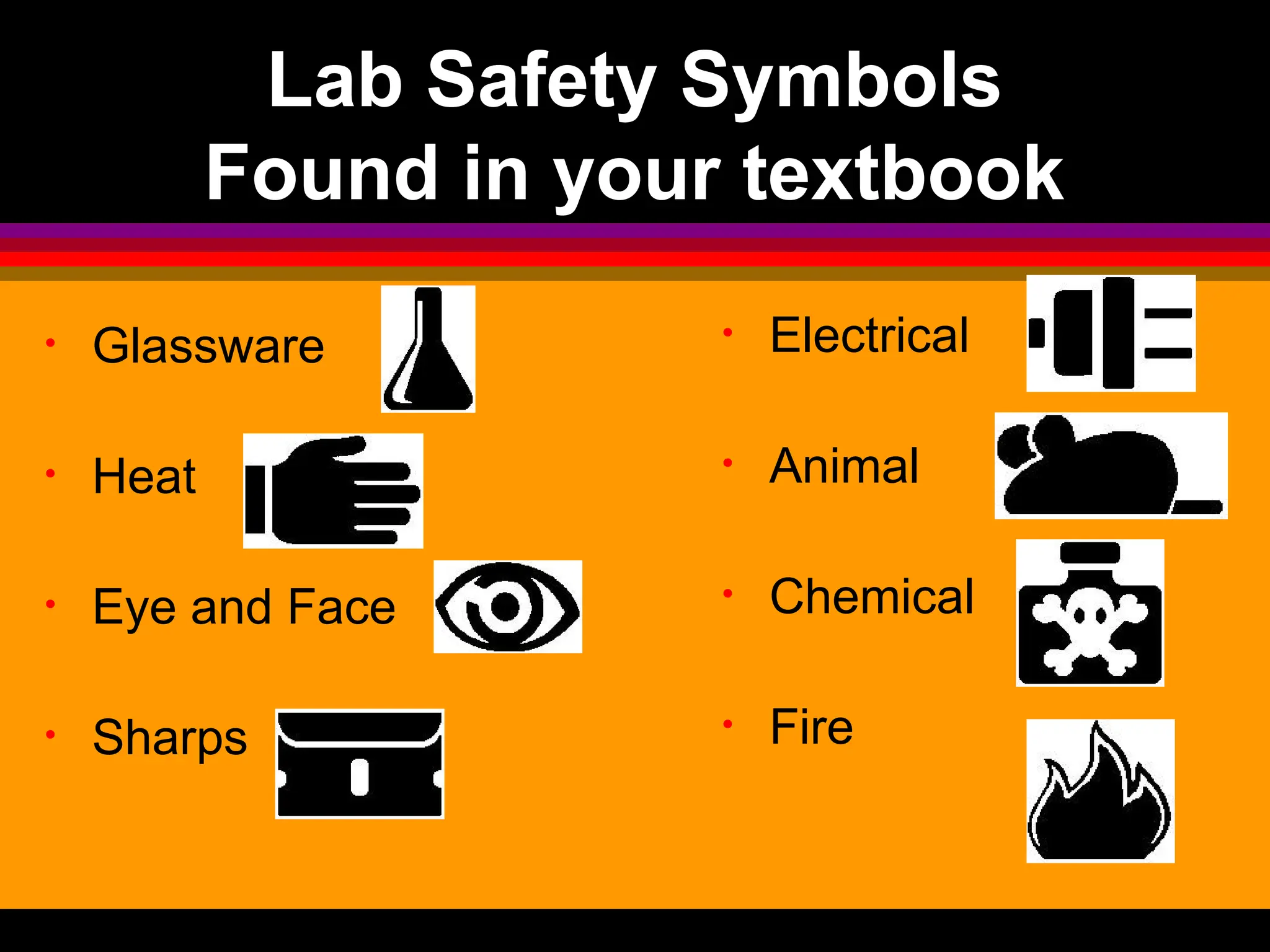 Science Safety (1).ppt Laboratory Procedures | PPT