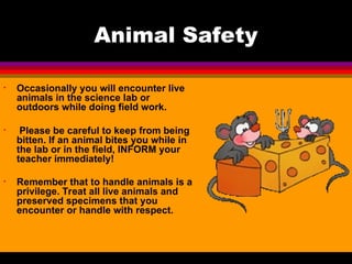 Science Safety (1).ppt Laboratory Procedures | PPT