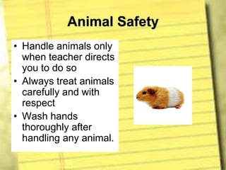 Science Safety | PDF