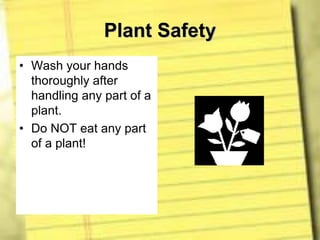 Science Safety | PDF