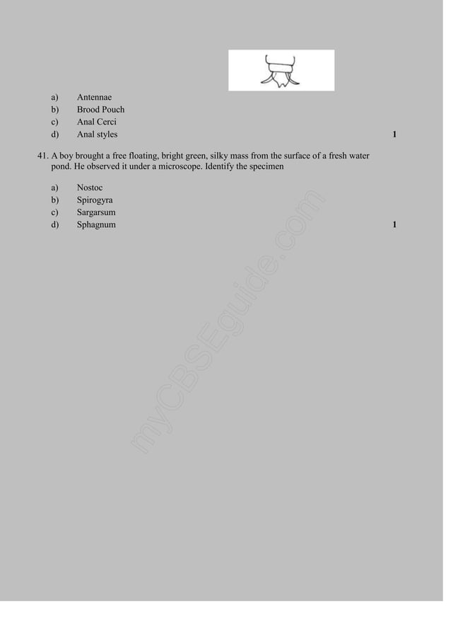 Science sample papers | DOCX