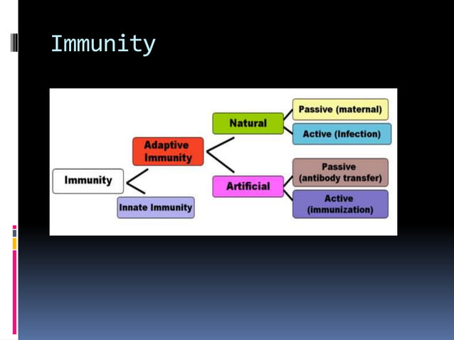 science seminar immunity.pptx