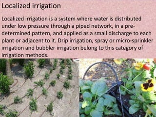 inovation in agriculture for a sustainable future | PPTX