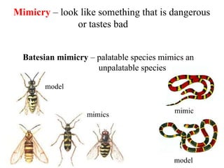 ScienceShare.co.uk Shared Resource | PPT