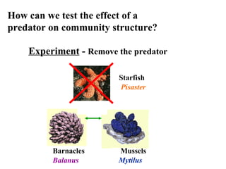 ScienceShare.co.uk Shared Resource | PPT