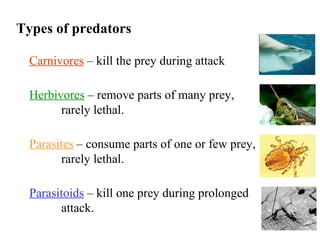 ScienceShare.co.uk Shared Resource | PPT