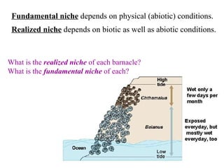 ScienceShare.co.uk Shared Resource | PPT