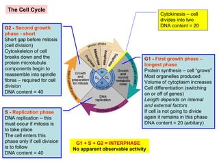 ScienceShare.co.uk Shared Resource | PPT