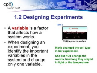 Science Skills | PPT