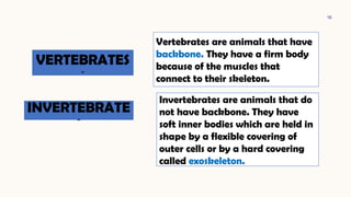 CLASSIFICATION OF ANIMALS JOJLKMKLMKLMJO | PPTX