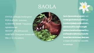 SCIENCE SPECIES | PPTX