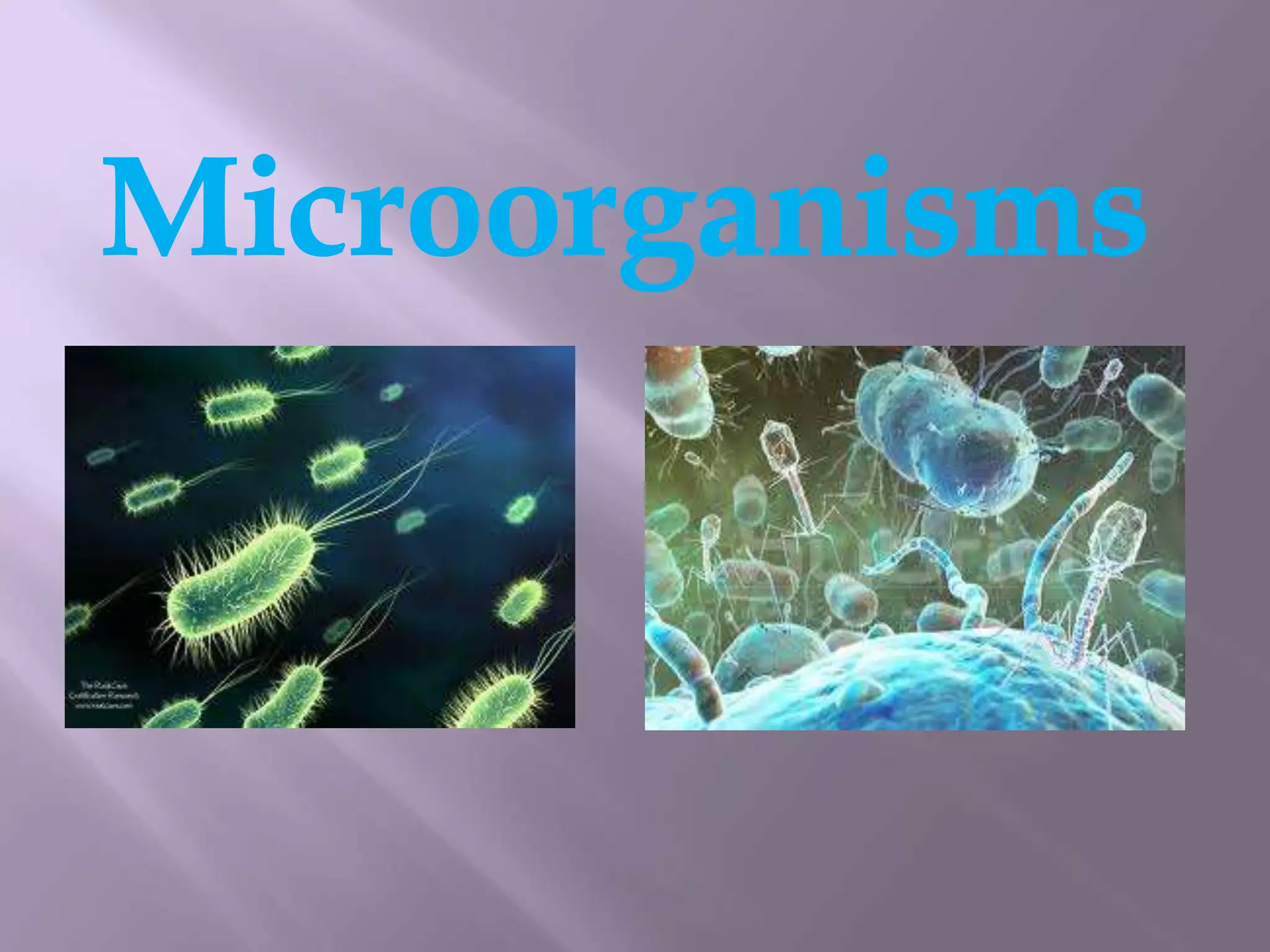 Science standard 5 | PPTX