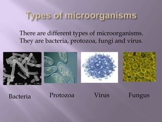 Science standard 5 | PPTX