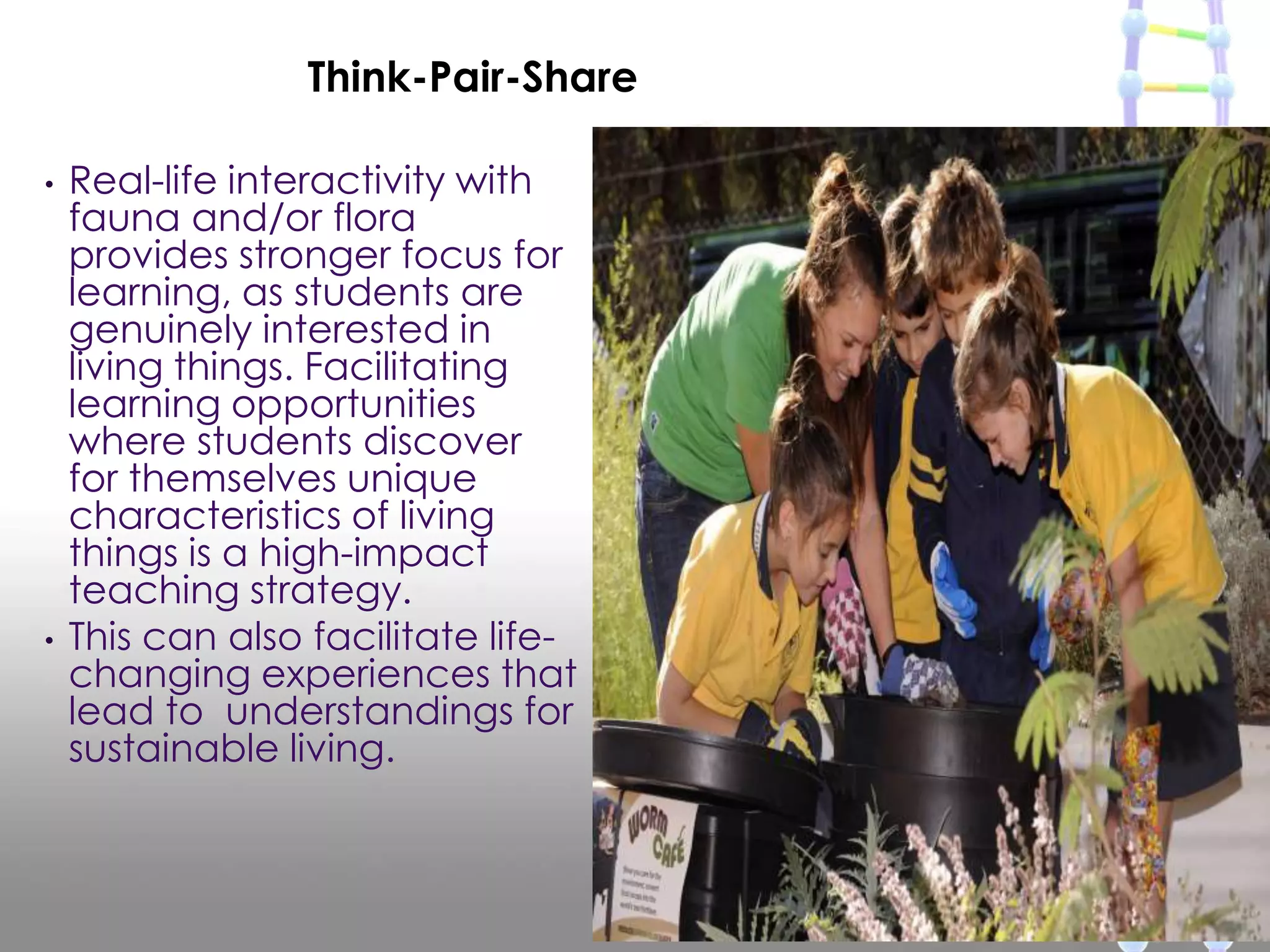 Science strategies | PPTX