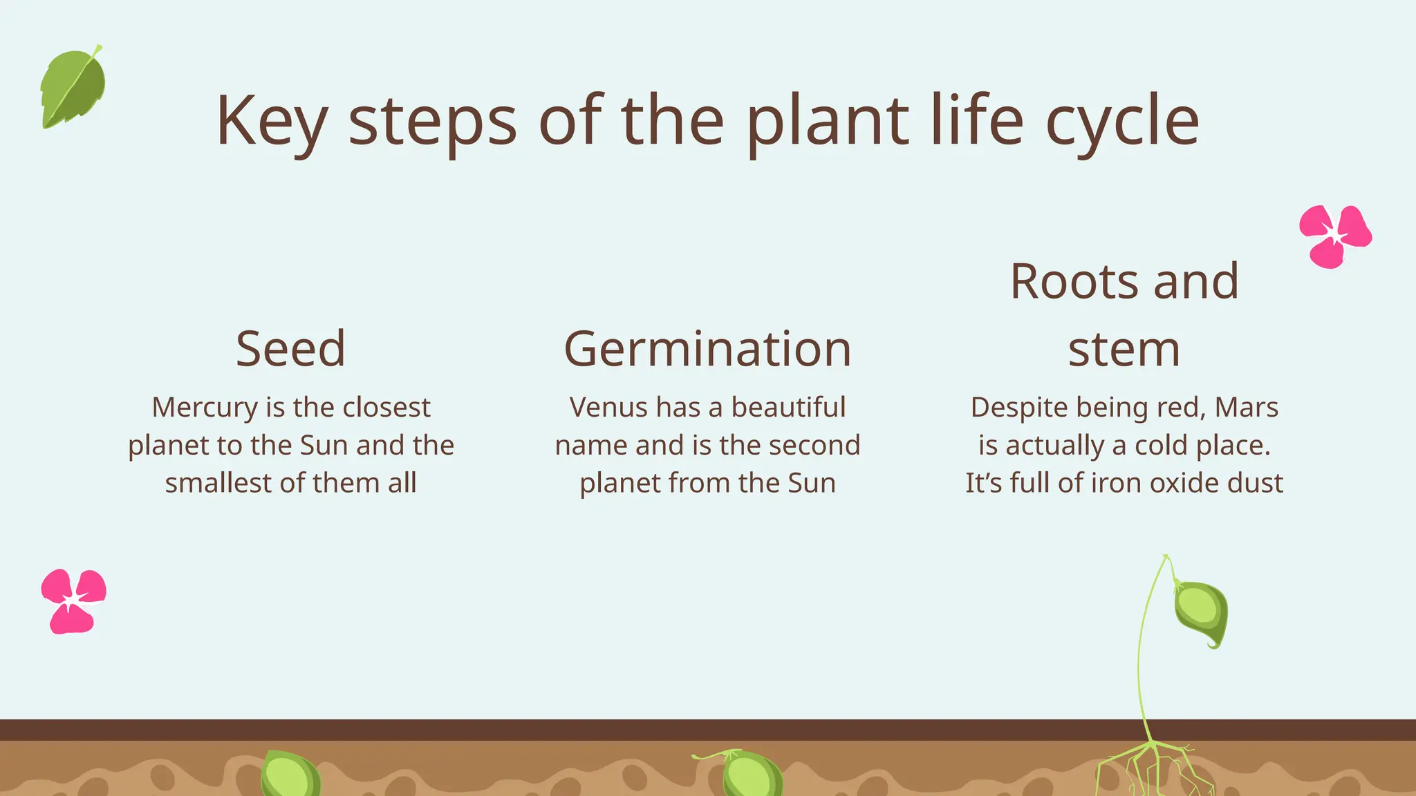 Science Subject for Elementary_ Plant Life Cycle by Slidesgo.pptx