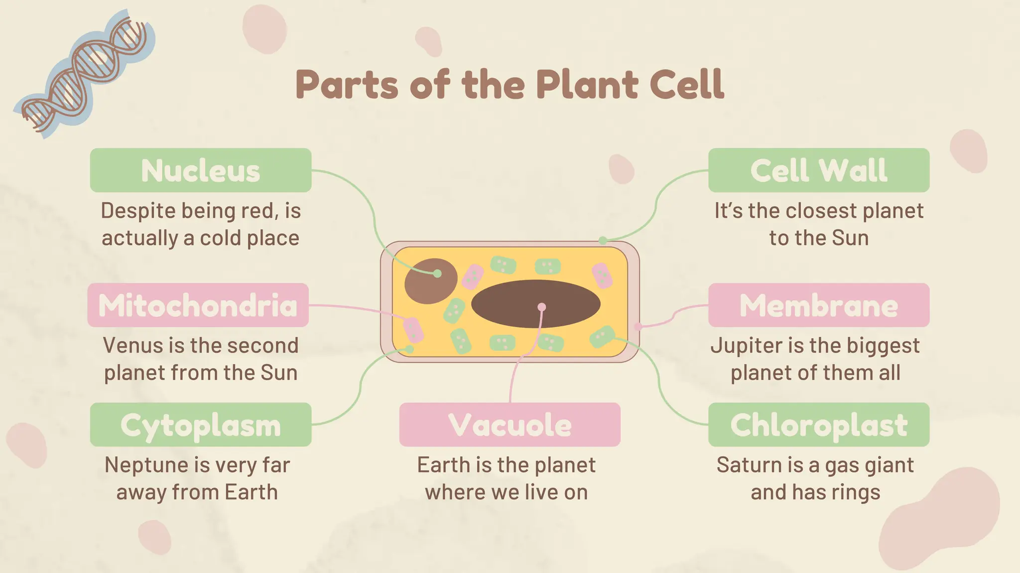 Science Subject for High School - 9th Grade_ Cell Biology by Slidesgo.pptx