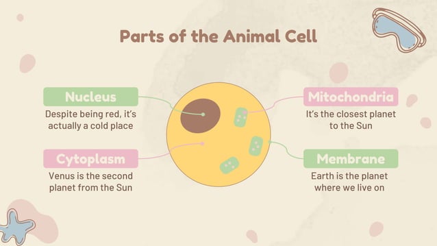 Science Subject for High School - 9th Grade_ Cell Biology by Slidesgo.pptx